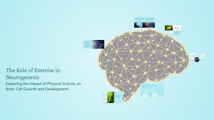 The Role of Exercise in Neurogenesis by valentina villate on Prezi