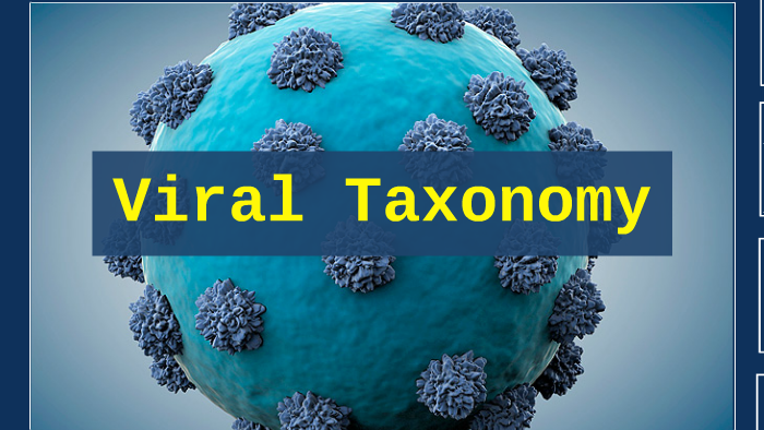 Viral Taxonomy by Vicky Leigh on Prezi