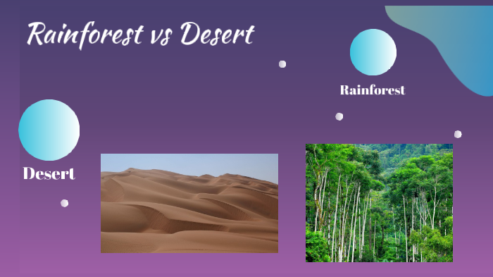 Rainforest vs Desert by Molly Higgins on Prezi