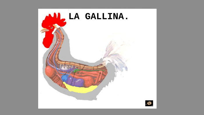 LA GALLINA. by paula .. on Prezi