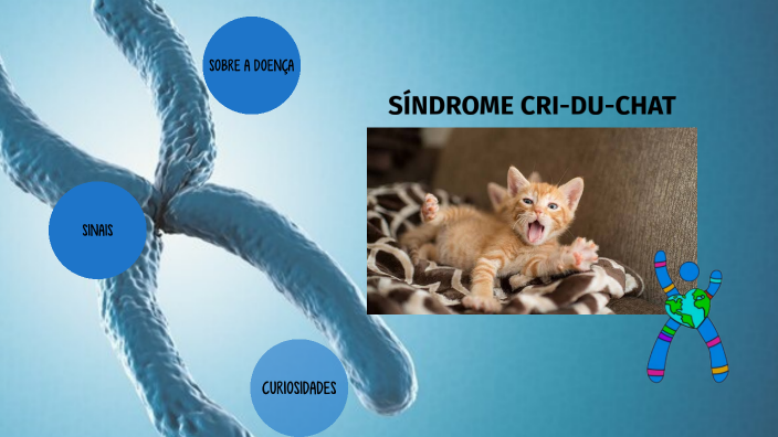 SÍNDROME DE CRI-DU-CHAT by Melissa Santos on Prezi