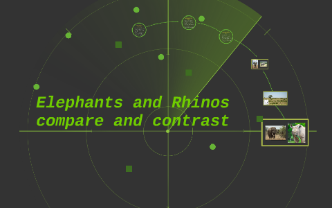 Elephants and Rhinos compare and contrast by Xavier Martinez on Prezi
