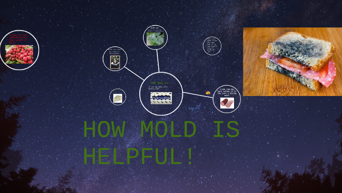 HOW MOLD IS HELPFUL! by Derpy Hooves on Prezi