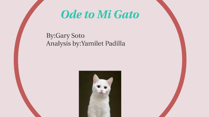 Ode to Mi Gato by Yamilet Padilla on Prezi