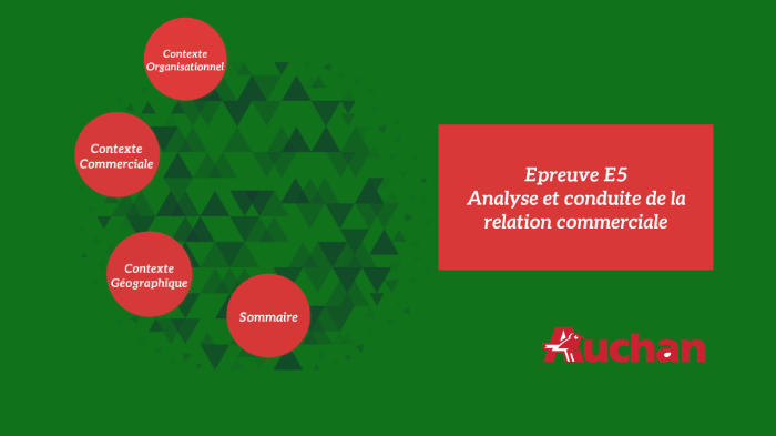 Epreuve E5 by Aurelien Jacquemain on Prezi