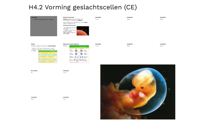 H4.2 Vorming geslachtscellen by Mr Nijhof on Prezi