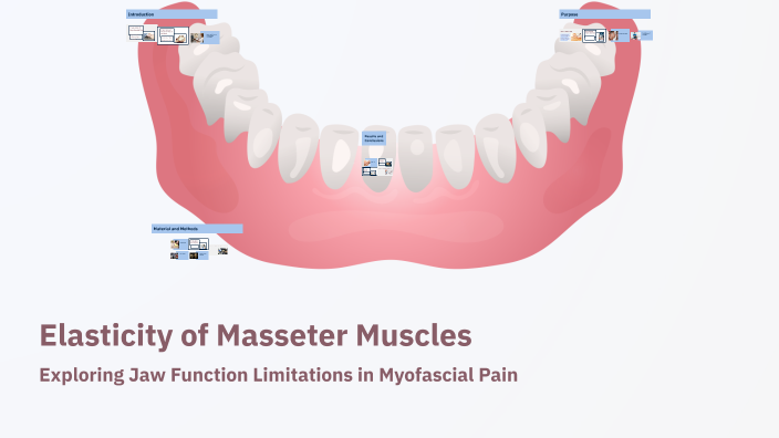 Elasticity of Masseter Muscles by Günnur İlhan on Prezi