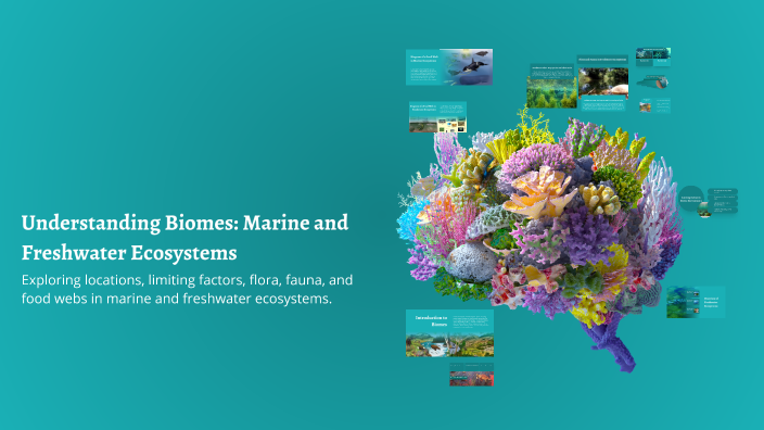 Understanding Biomes: Marine and Freshwater Ecosystems by Eli on Prezi