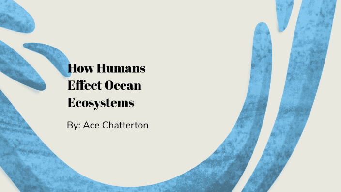 How humans effect ocean ecosystems by Ace Chatterton on Prezi
