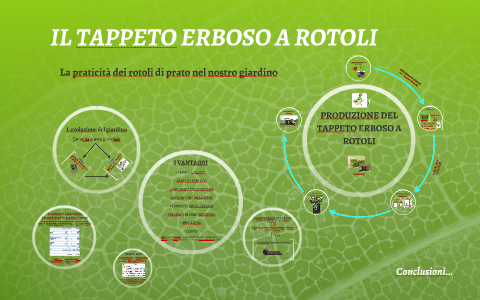 IL TAPPETO ERBOSO A ROTOLI by Alessandro Valente on Prezi