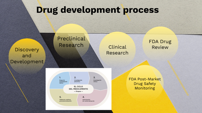 drug development process by Bianca Gabriela Sernaque Barazorda on Prezi