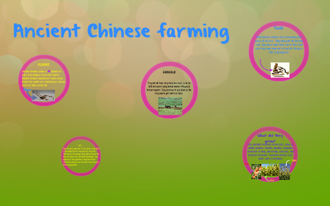 Ancient Chinese farming by Natalie Arment on Prezi