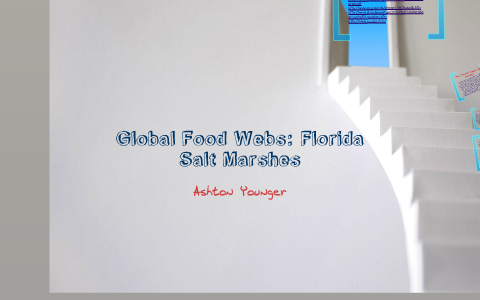 Global Food Webs: Florida Salt Marshes by Brittney Amber on Prezi