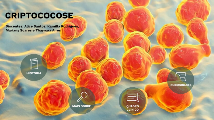 Criptococose by Alice Santos on Prezi