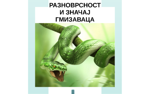РАЗНОВРСНОСТ И ЗНАЧАЈ ГМИЗАВАЦА by zaba gatalinka