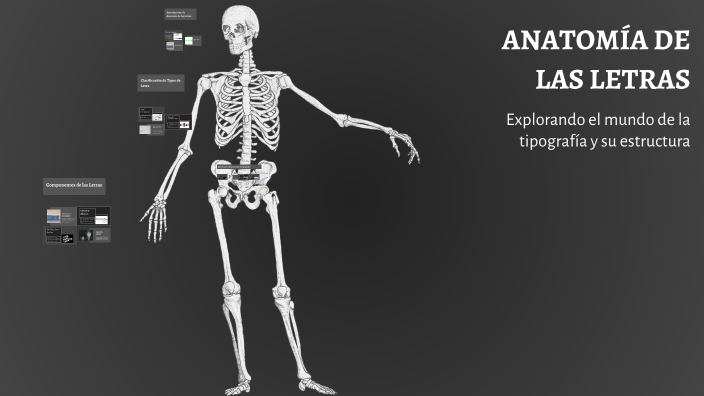 ANATOMÍA DE LAS LETRAS by Li!n on Prezi