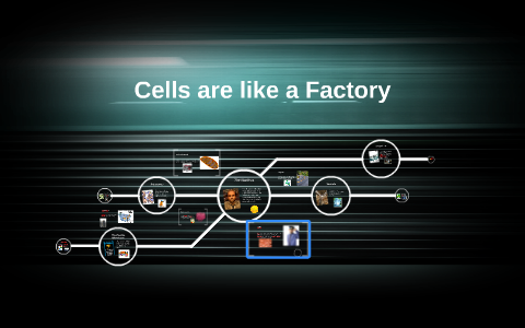 Cells are like a Factory by Sid Peck on Prezi