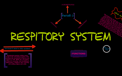 Respiratory System by Haley Howland