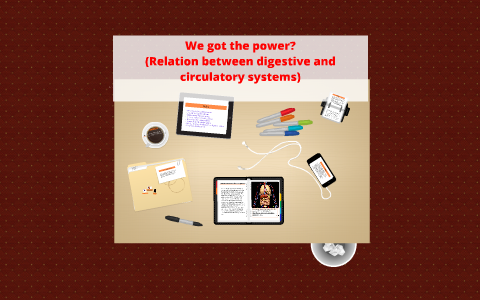 Relation between the circulatory and digestive systems by daniel ...