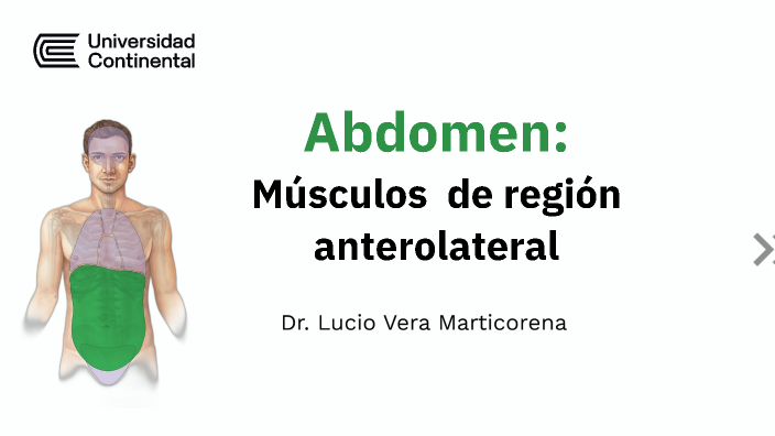 Músculos de región ánterolateral del ambomen by Lucio Vera on Prezi