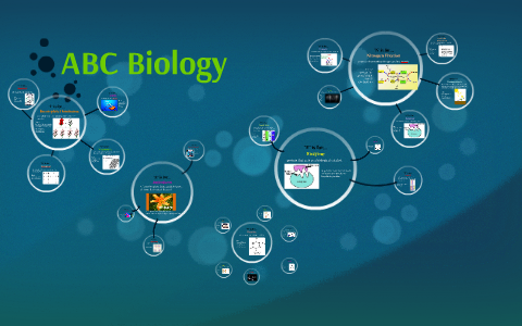 ABC Biology by Kaitlyn Reiter on Prezi
