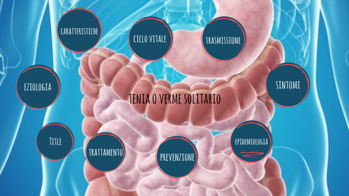TENIA (VERME SOLITARIO) by Giulia Pellacani on Prezi