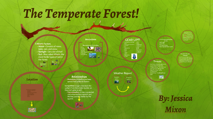 Lets Go Camping in the Temperate Forest! by Jessica Mixon on Prezi