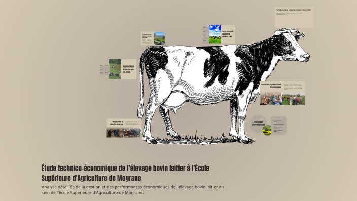 Étude technico-économique de l’élevage bovin laitier à l’École ...