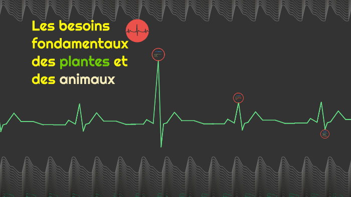 Les besoins fondamentaux des plantes et des animaux by Noah bonjour on ...