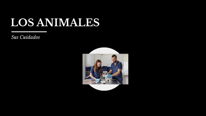 LOS ANIMALES by Marisol Marin Serna on Prezi