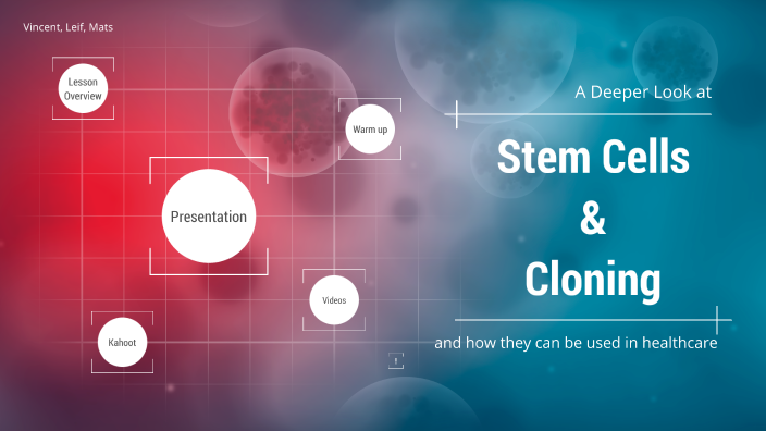 Stem Cells and Cloning by Mats Lüsse on Prezi