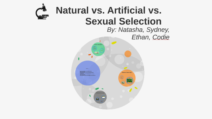 Natural vs. Artificial vs. Sexual Selection by Codie Sapp on Prezi