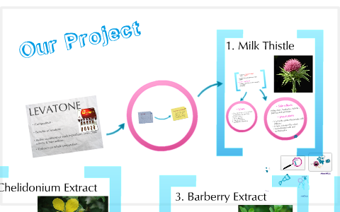 LEVATONE by roba ahmed on Prezi