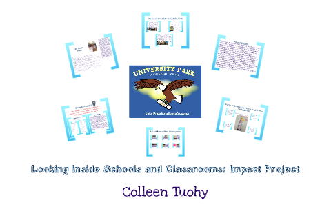 Impact Project by Colleen Tuohy on Prezi