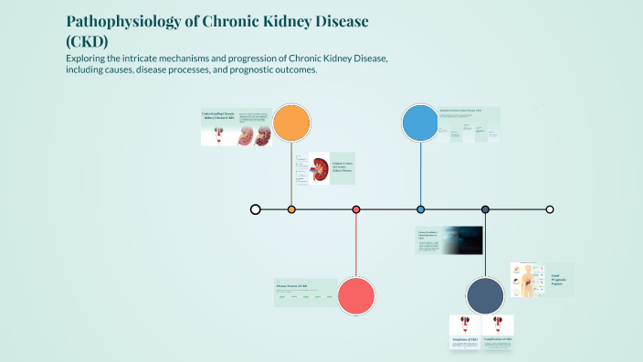 Pathophysiology of Chronic Kidney Disease (CKD) by Princess Añabeza on ...