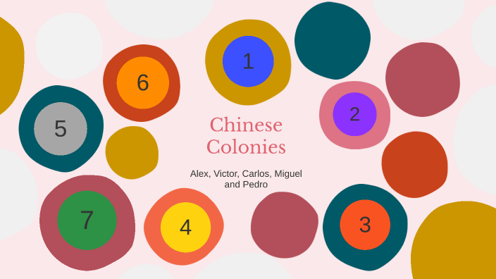 Chinese Colonies by Pedro Susilla Barquin