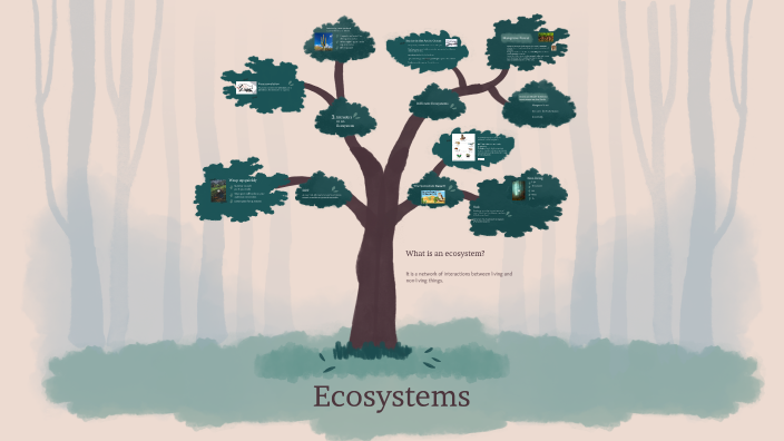 Ecosystems- Grade 7 by Devon Basson on Prezi