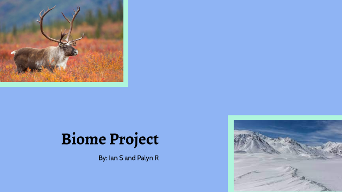 Biome Projects by Palyn Rivers on Prezi