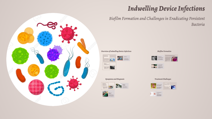 Indwelling device infections: biofilm formation, the challenge of ...