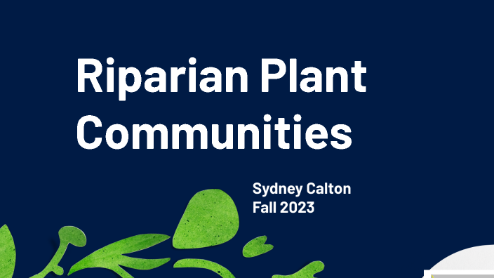 Plant Ecology Annotated Bibliography by Sydney Hermann on Prezi