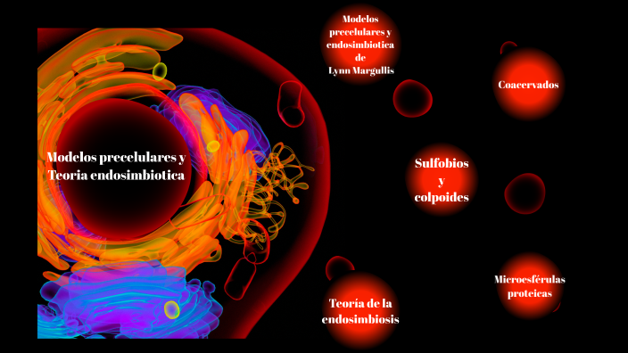 Modelos precelulares y Teoria endosimbiotica by domi figueroa on Prezi