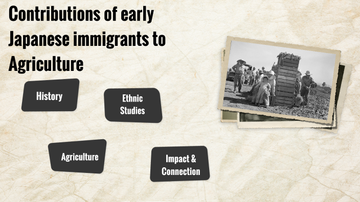 Contributions of early Japanese immigrants to Agriculture by Gerald ...