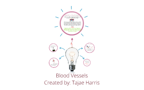 Blood Vessels by Tajae Harris on Prezi