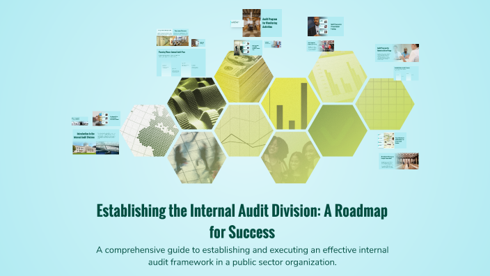 Establishing the Internal Audit Division: A Roadmap for Success by Wali ...
