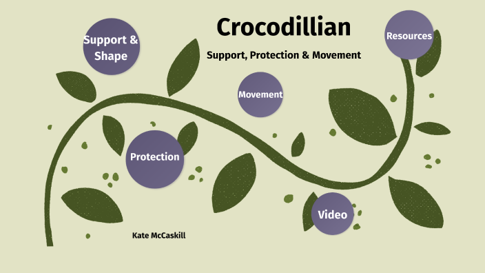 Crocodilian: Support, Protection & Movement by Kare McCaskill on Prezi