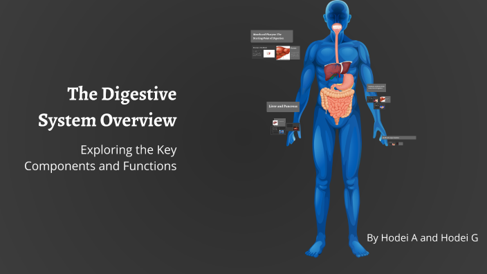 The Digestive System Overview by HGC on Prezi