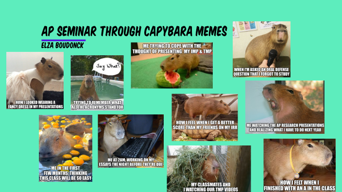 Final Project - AP Seminar 2022 by Elza B on Prezi