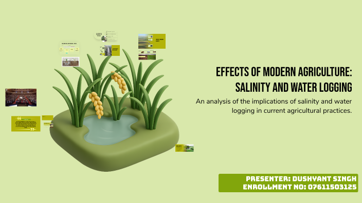 Effects of Modern Agriculture: Salinity and Water Logging by Dushyant ...