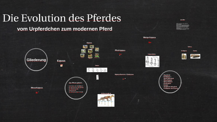 Die Evolution des Pferdes by Yasmine O on Prezi