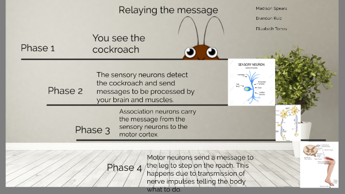 Relaying the message by Brandon Ruiz-Gonzales on Prezi